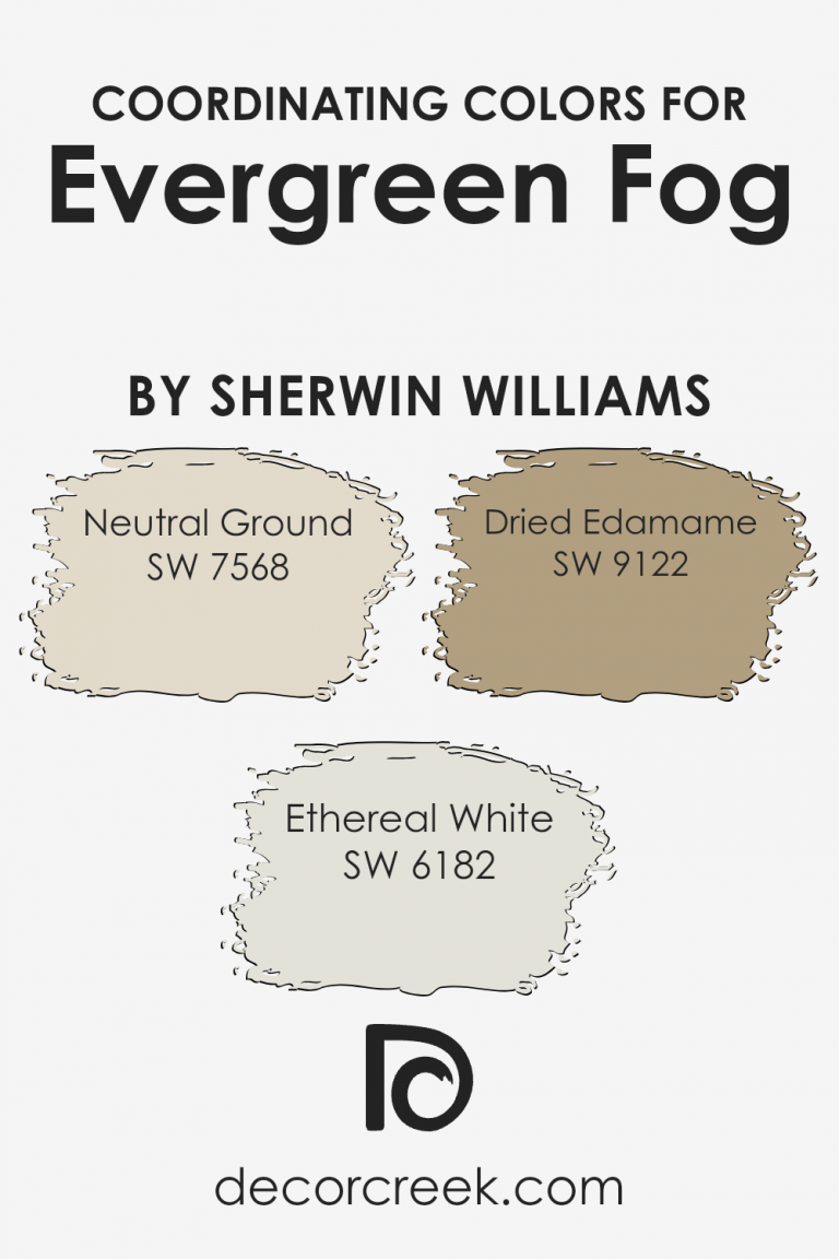 Evergreen Fog SW 9130 Paint Color by Sherwin Williams - DecorCreek