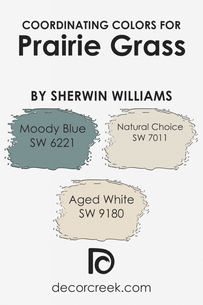 Prairie Grass SW 7546 Paint Color by Sherwin Williams - DecorCreek