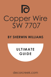 Copper Wire SW 7707 Paint Color by Sherwin Williams - DecorCreek