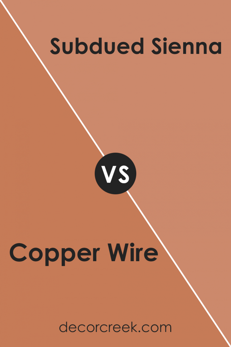 Copper Wire SW 7707 Paint Color by Sherwin Williams - DecorCreek