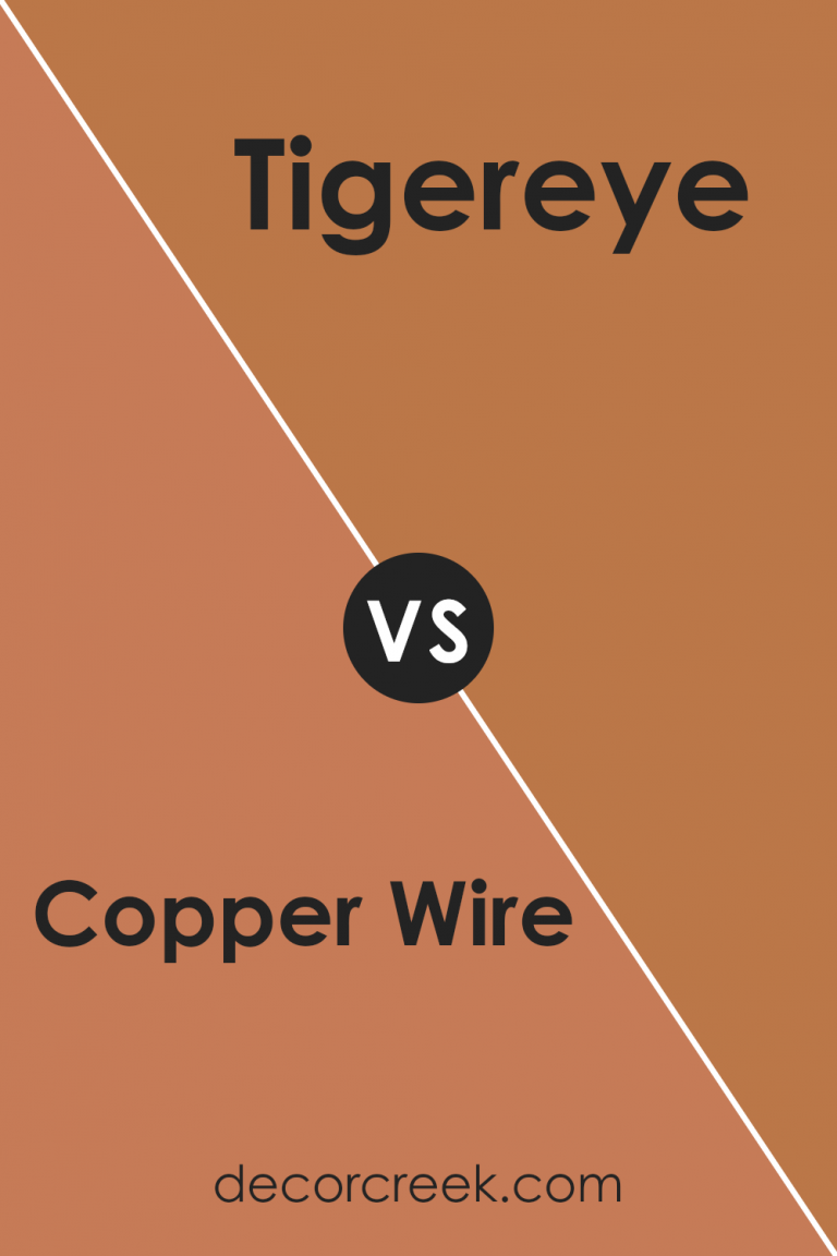 Copper Wire SW 7707 Paint Color by Sherwin Williams - DecorCreek