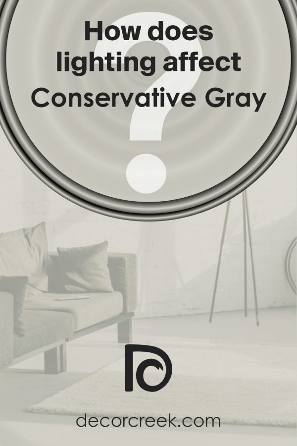 Conservative Gray SW 6183 Paint Color by Sherwin Williams - DecorCreek