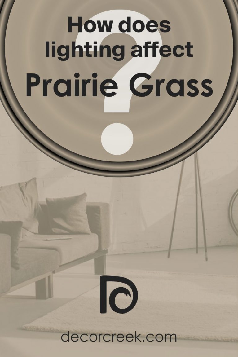 Prairie Grass SW 7546 Paint Color by Sherwin Williams - DecorCreek