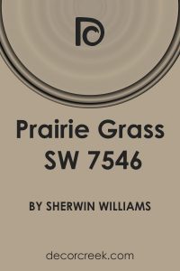 Prairie Grass SW 7546 Paint Color by Sherwin Williams - DecorCreek