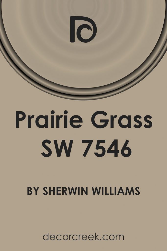 Prairie Grass SW 7546 Paint Color by Sherwin Williams - DecorCreek
