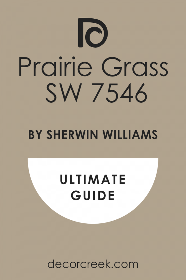 Prairie Grass SW 7546 Paint Color by Sherwin Williams - DecorCreek