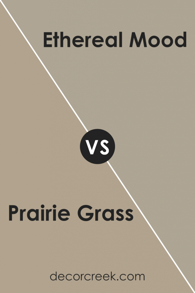 Prairie Grass SW 7546 Paint Color by Sherwin Williams - DecorCreek