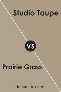 Prairie Grass SW 7546 Paint Color by Sherwin Williams - DecorCreek