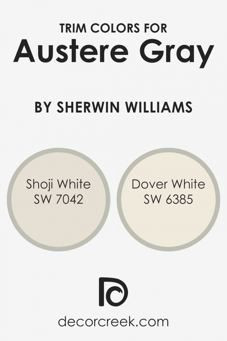 Austere Gray SW 6184 Paint Color by Sherwin Williams - DecorCreek