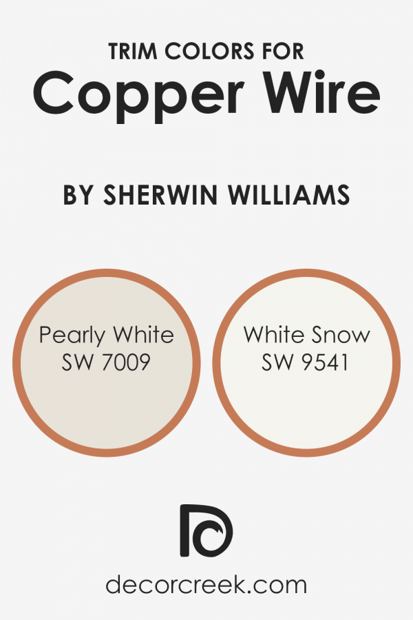 Copper Wire SW 7707 Paint Color by Sherwin Williams - DecorCreek