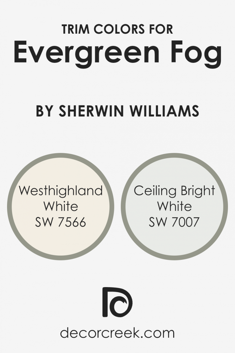 Evergreen Fog SW 9130 Paint Color by Sherwin Williams - DecorCreek