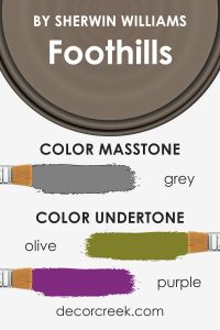 Foothills SW 7514 Paint Color by Sherwin Williams - DecorCreek