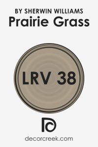 Prairie Grass SW 7546 Paint Color by Sherwin Williams - DecorCreek