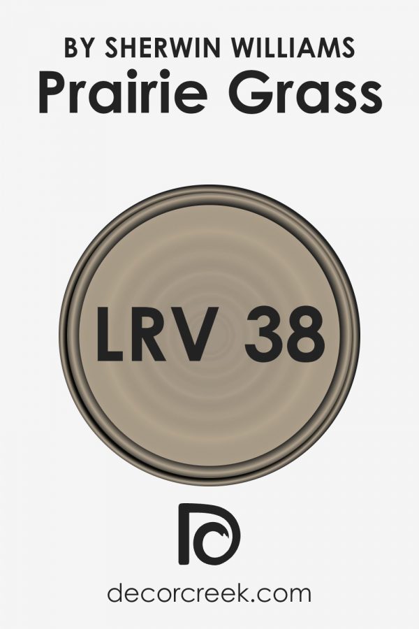 Prairie Grass SW 7546 Paint Color by Sherwin Williams - DecorCreek