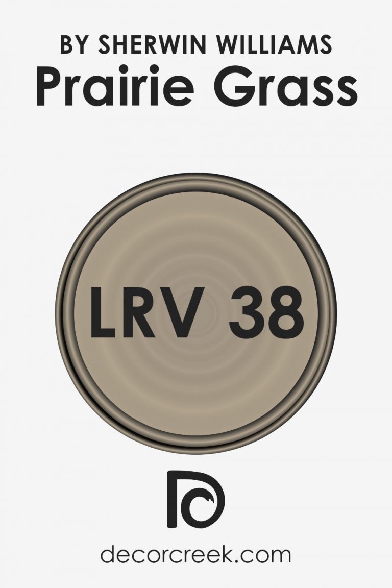 Prairie Grass SW 7546 Paint Color by Sherwin Williams - DecorCreek