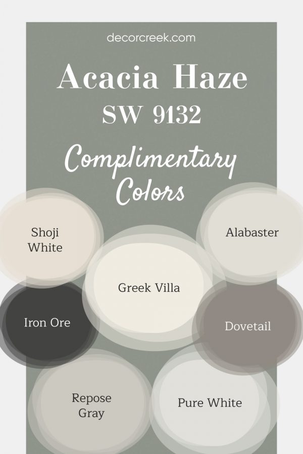 Acacia Haze SW 9132 Paint Color by Sherwin Williams - DecorCreek