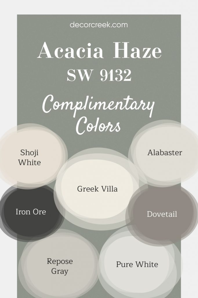Acacia Haze SW 9132 Paint Color by Sherwin Williams - DecorCreek