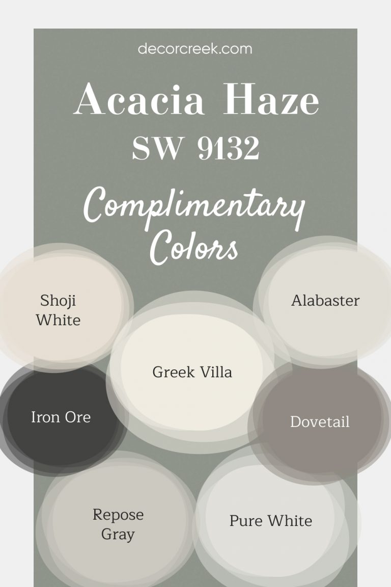 Acacia Haze SW 9132 Paint Color by Sherwin Williams - DecorCreek