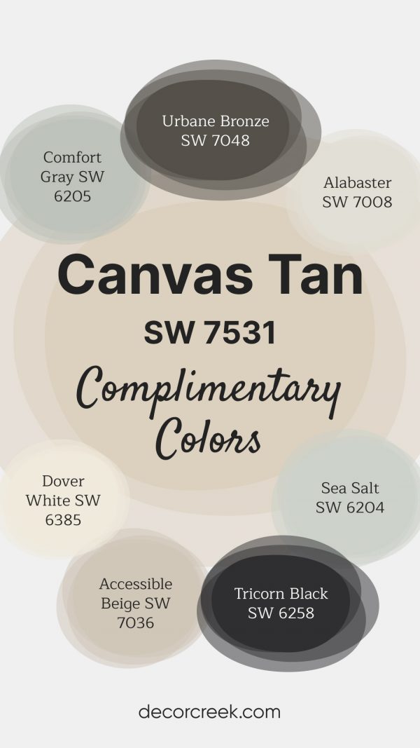 Canvas Tan SW 7531 Paint Color by Sherwin Williams - DecorCreek