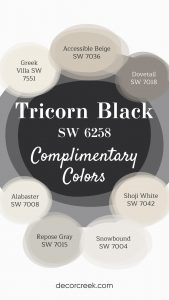 Tricorn Black SW 6258 Paint Color by Sherwin Williams - DecorCreek