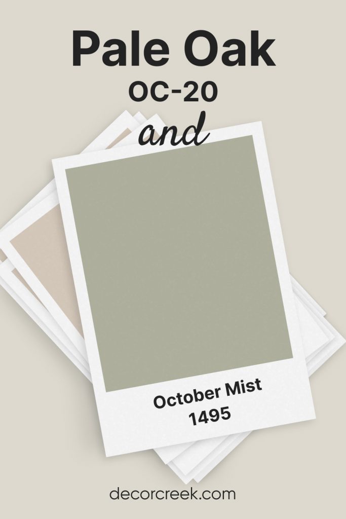 Pale Oak OC-20 Paint Color by Benjamin Moore - DecorCreek