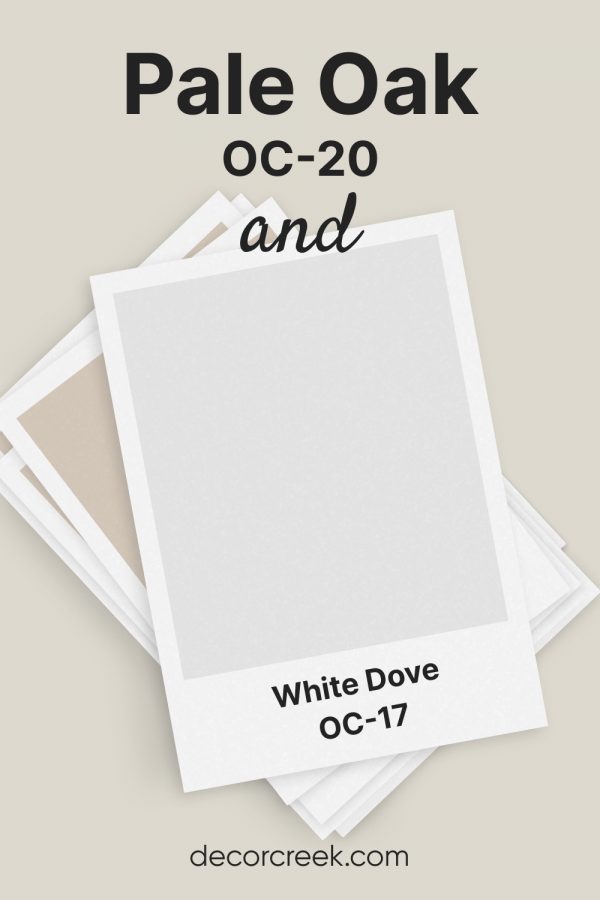 Pale Oak OC-20 Paint Color by Benjamin Moore - DecorCreek