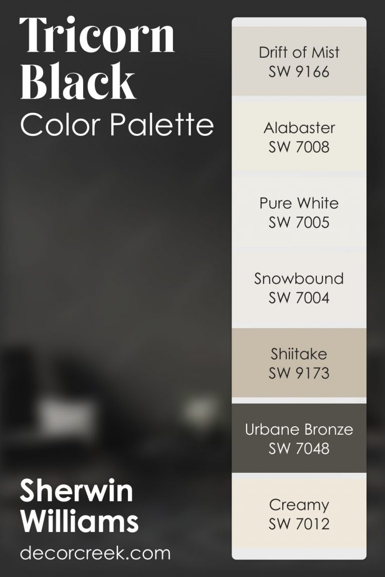 Tricorn Black SW 6258 Paint Color by Sherwin Williams - DecorCreek
