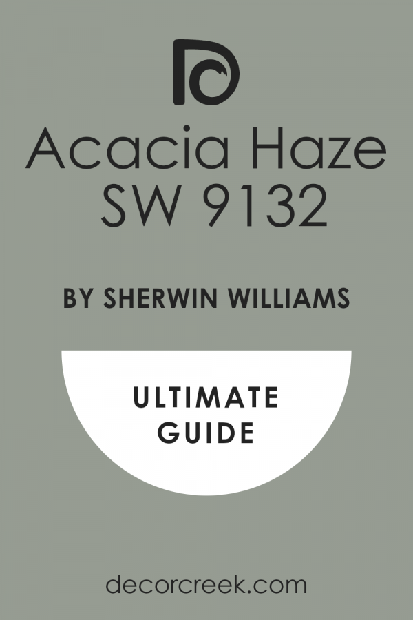 Acacia Haze SW 9132 Paint Color by Sherwin Williams - DecorCreek