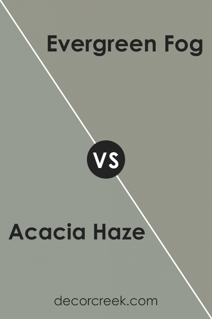 Acacia Haze SW 9132 Paint Color by Sherwin Williams - DecorCreek