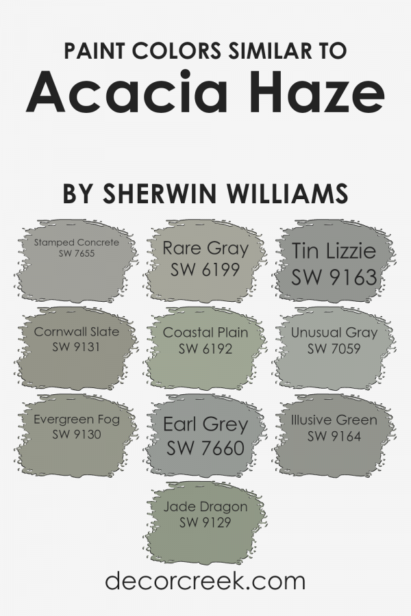 Acacia Haze SW 9132 Paint Color by Sherwin Williams - DecorCreek
