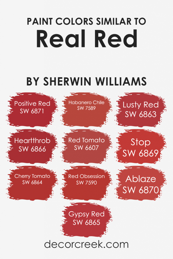 Real Red SW 6868 Paint Color by Sherwin Williams - DecorCreek