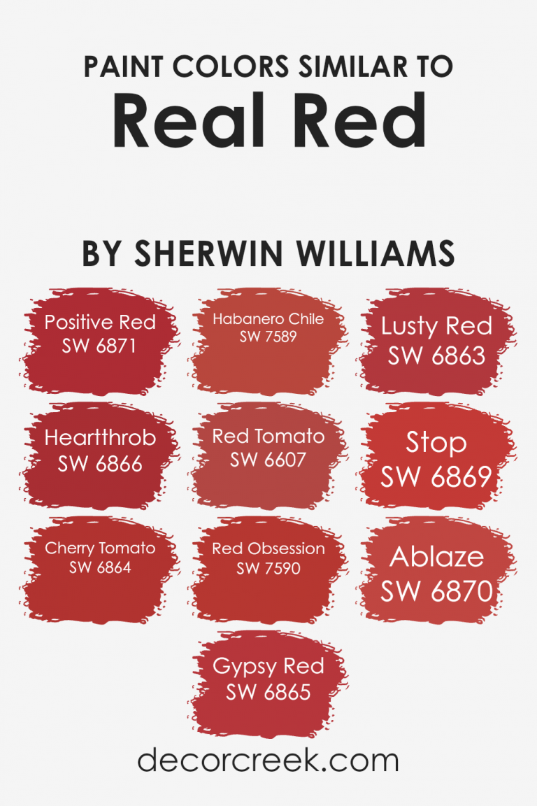 Real Red SW 6868 Paint Color by Sherwin Williams - DecorCreek