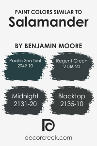 Salamander 2050-10 Paint Color by Benjamin Moore - DecorCreek