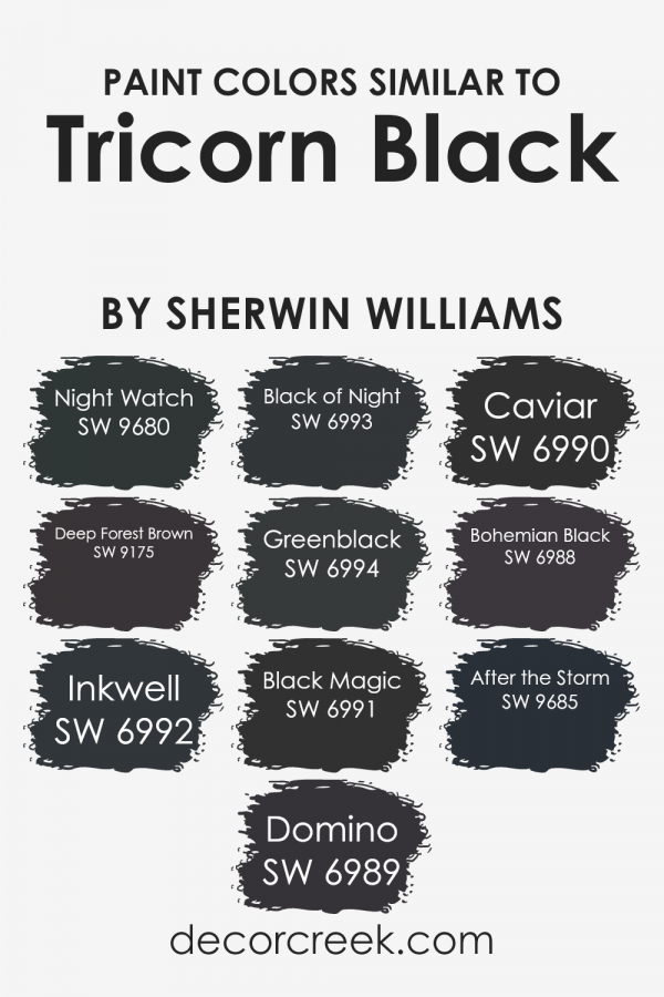 Tricorn Black SW 6258 Paint Color by Sherwin Williams - DecorCreek