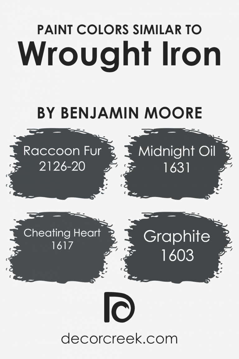 Wrought Iron 2124-10 Paint Color by Benjamin Moore - DecorCreek