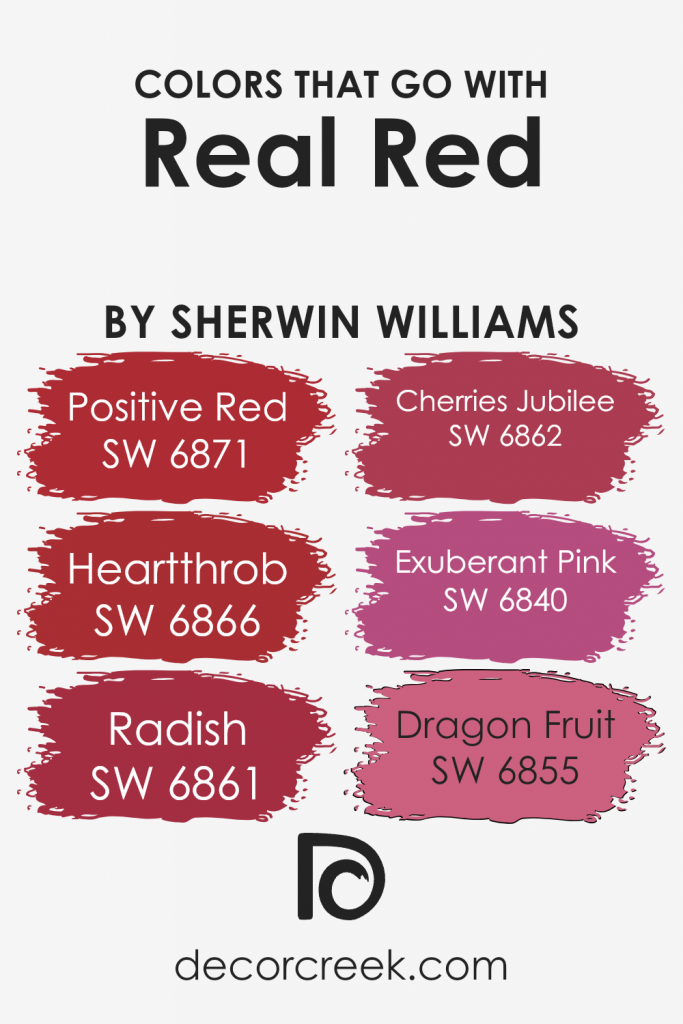 Real Red SW 6868 Paint Color by Sherwin Williams - DecorCreek