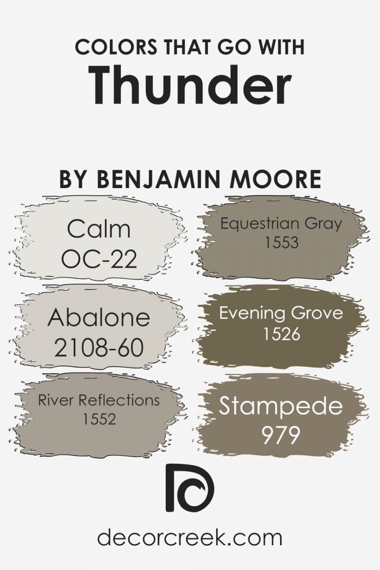 Thunder AF-685 Paint Color by Benjamin Moore - DecorCreek