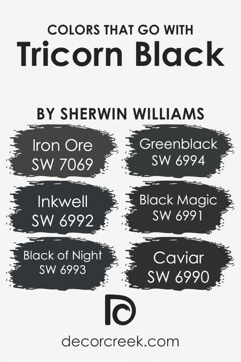 Tricorn Black SW 6258 Paint Color by Sherwin Williams - DecorCreek
