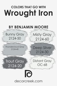 Wrought Iron 2124-10 Paint Color by Benjamin Moore - DecorCreek