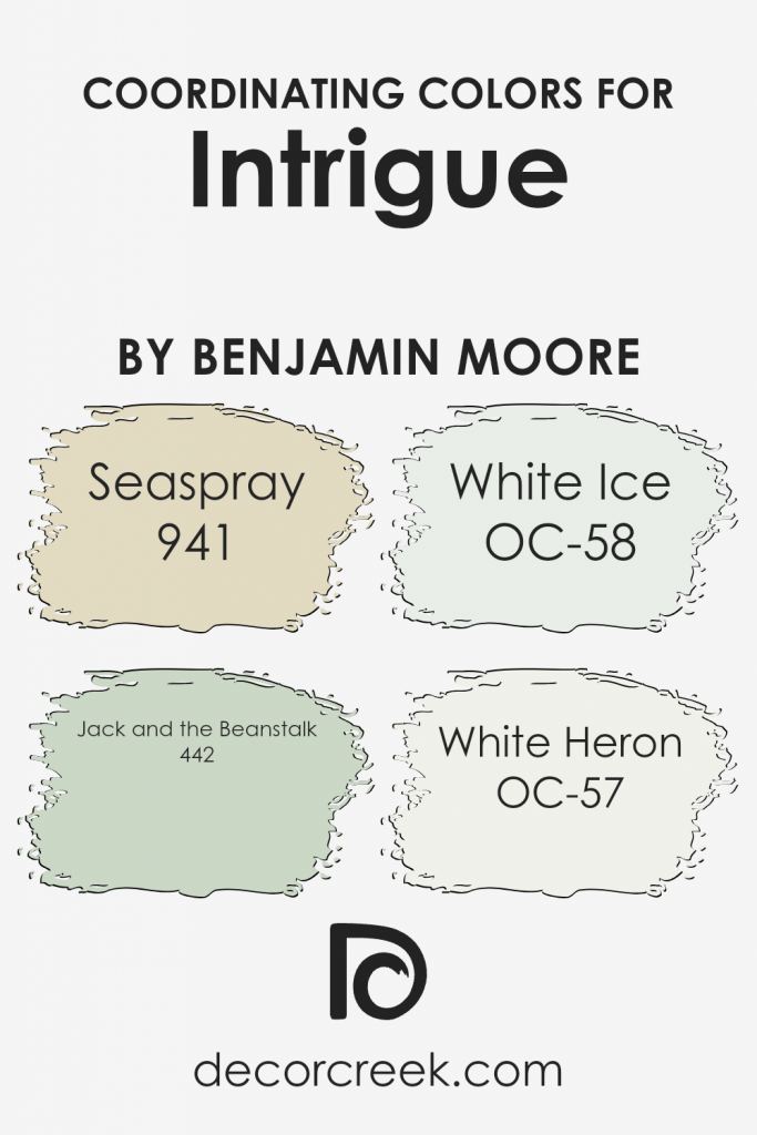 Intrigue 1580 Paint Color by Benjamin Moore - DecorCreek