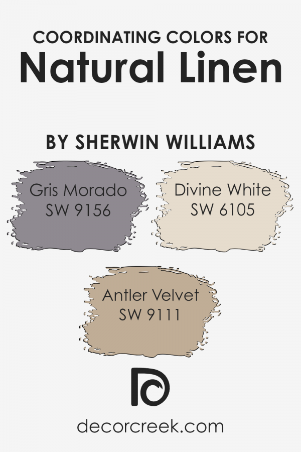 Natural Linen SW 9109 Paint Color by Sherwin Williams - DecorCreek