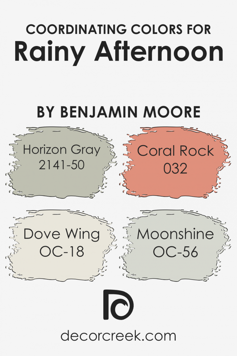 Rainy Afternoon 1575 Paint Color by Benjamin Moore - DecorCreek