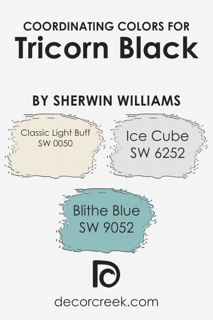 Tricorn Black SW 6258 Paint Color by Sherwin Williams - DecorCreek
