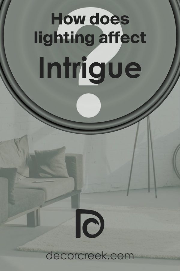 Intrigue 1580 Paint Color by Benjamin Moore - DecorCreek