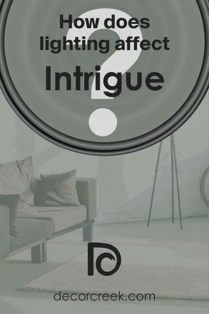 Intrigue 1580 Paint Color by Benjamin Moore - DecorCreek