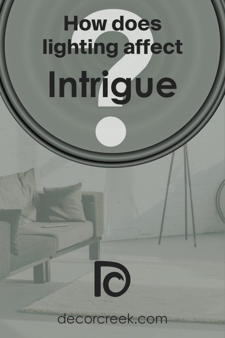Intrigue 1580 Paint Color by Benjamin Moore - DecorCreek