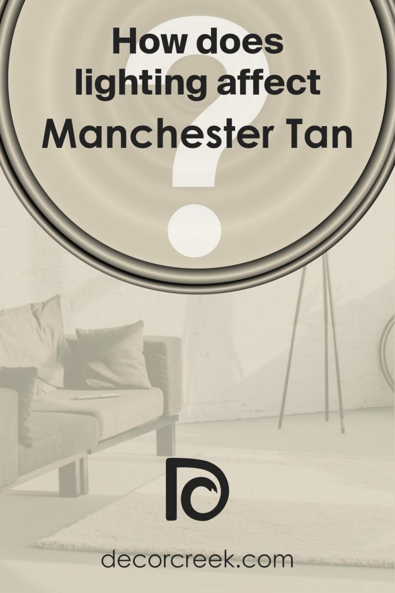 Manchester Tan HC-81 Paint Color by Benjamin Moore - DecorCreek