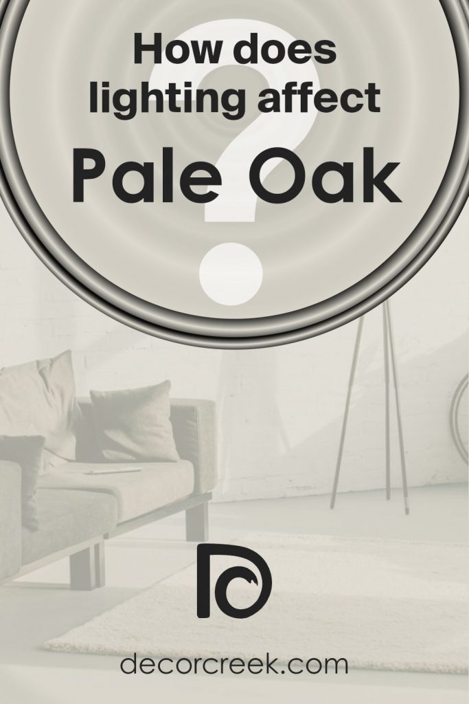 Pale Oak OC-20 Paint Color by Benjamin Moore - DecorCreek