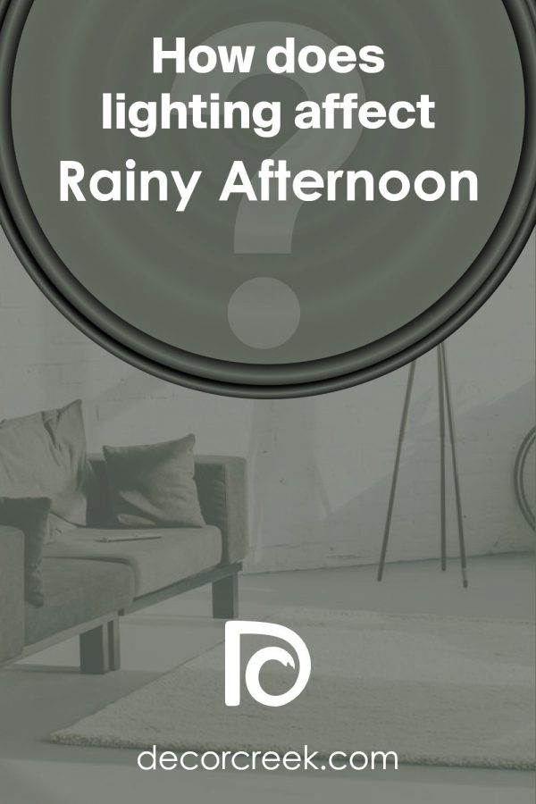 Rainy Afternoon 1575 Paint Color by Benjamin Moore - DecorCreek