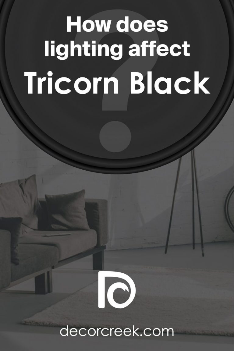 Tricorn Black SW 6258 Paint Color by Sherwin Williams - DecorCreek